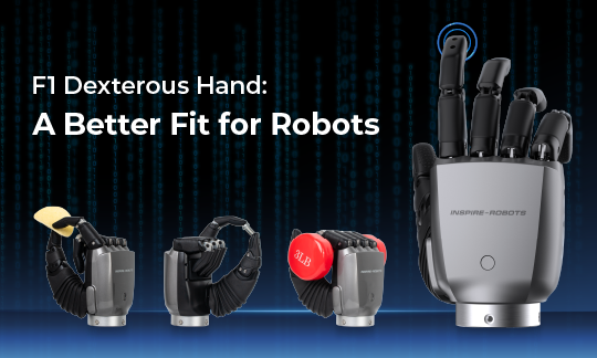 The Dexterous Hands - INSPIRE